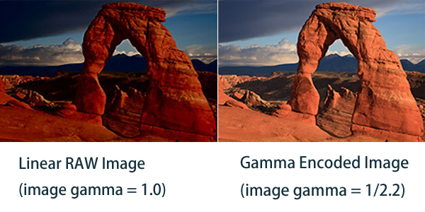 Introduction to Gamma Curves in LED pixel tapes application